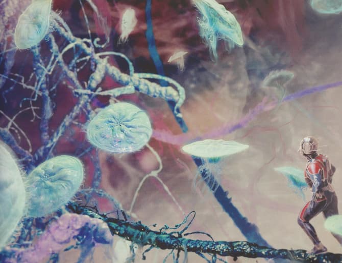 ANT-MAN AND THE WASP Battle Some Crazy And Creepy Quantum Realm ...