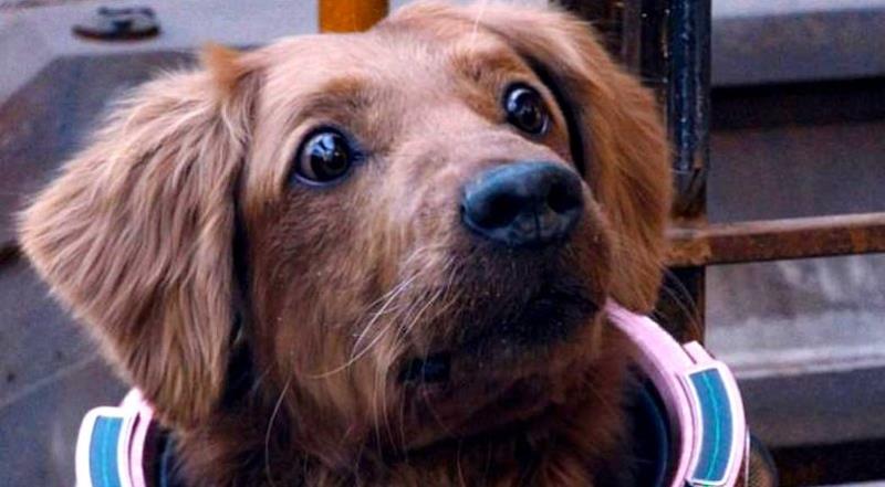 GUARDIANS OF THE GALAXY VOL. 3 Director James Gunn Shares A New Look At ...