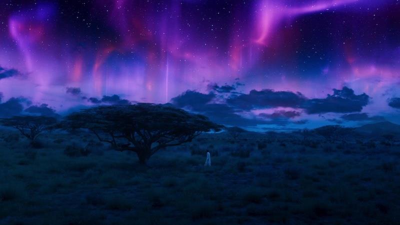 BLACK PANTHER: WAKANDA FOREVER Writer Explains [SPOILER]'s Surprise ...