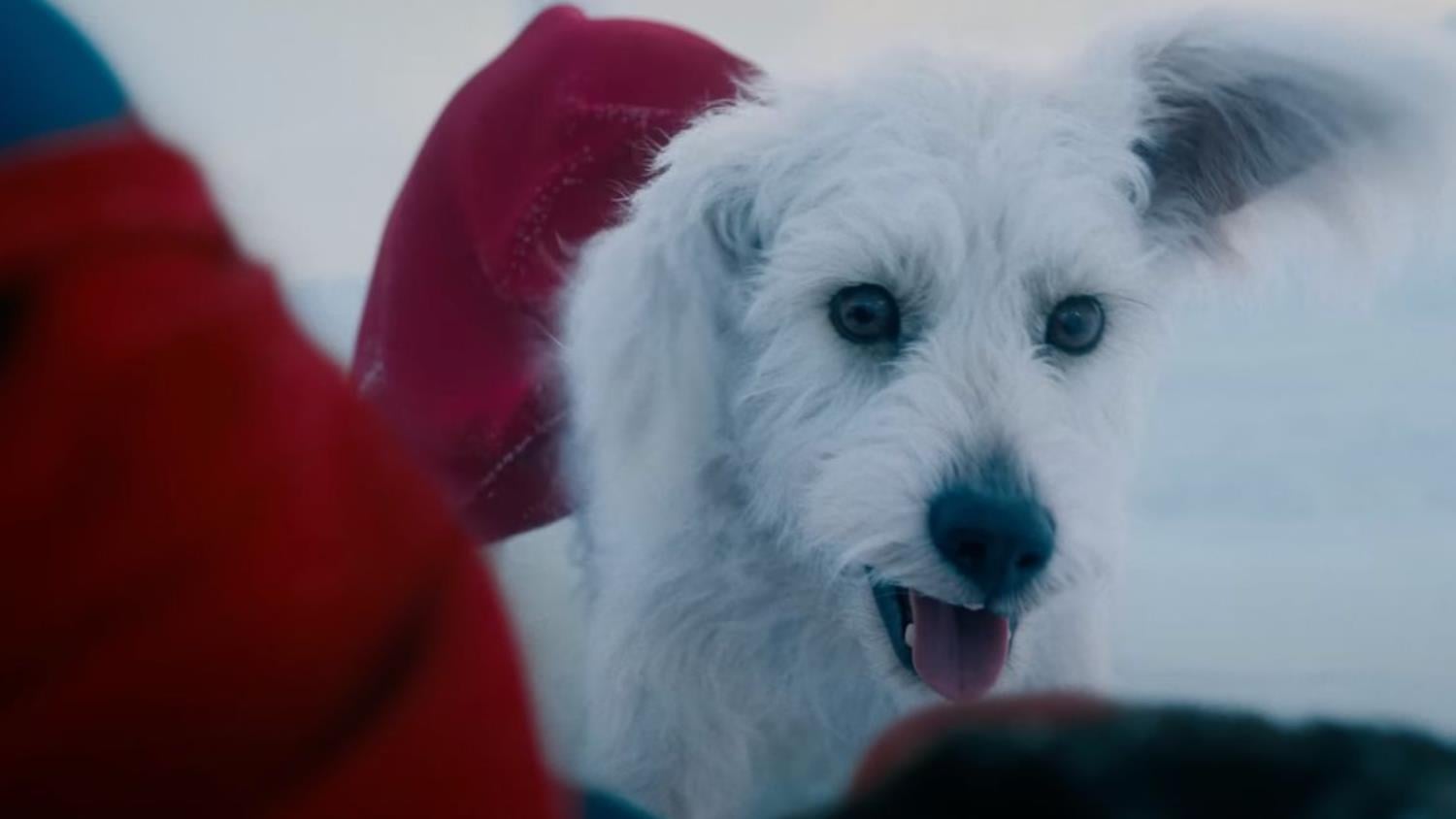One Of James Gunn's First Ideas For A DC Film? A KRYPTO THE SUPERDOG ...