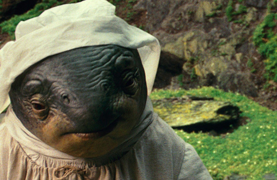 STAR WARS: THE LAST JEDI - It's Not Just The Porgs Keeping Luke ...