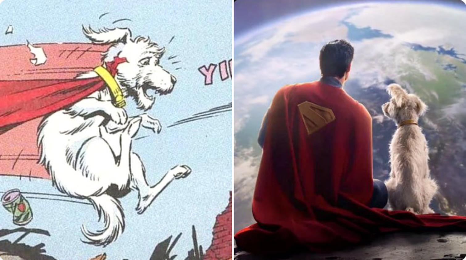 SUPERMAN Director James Gunn Responds To Krypto First Look Criticism: "He's An Alien"